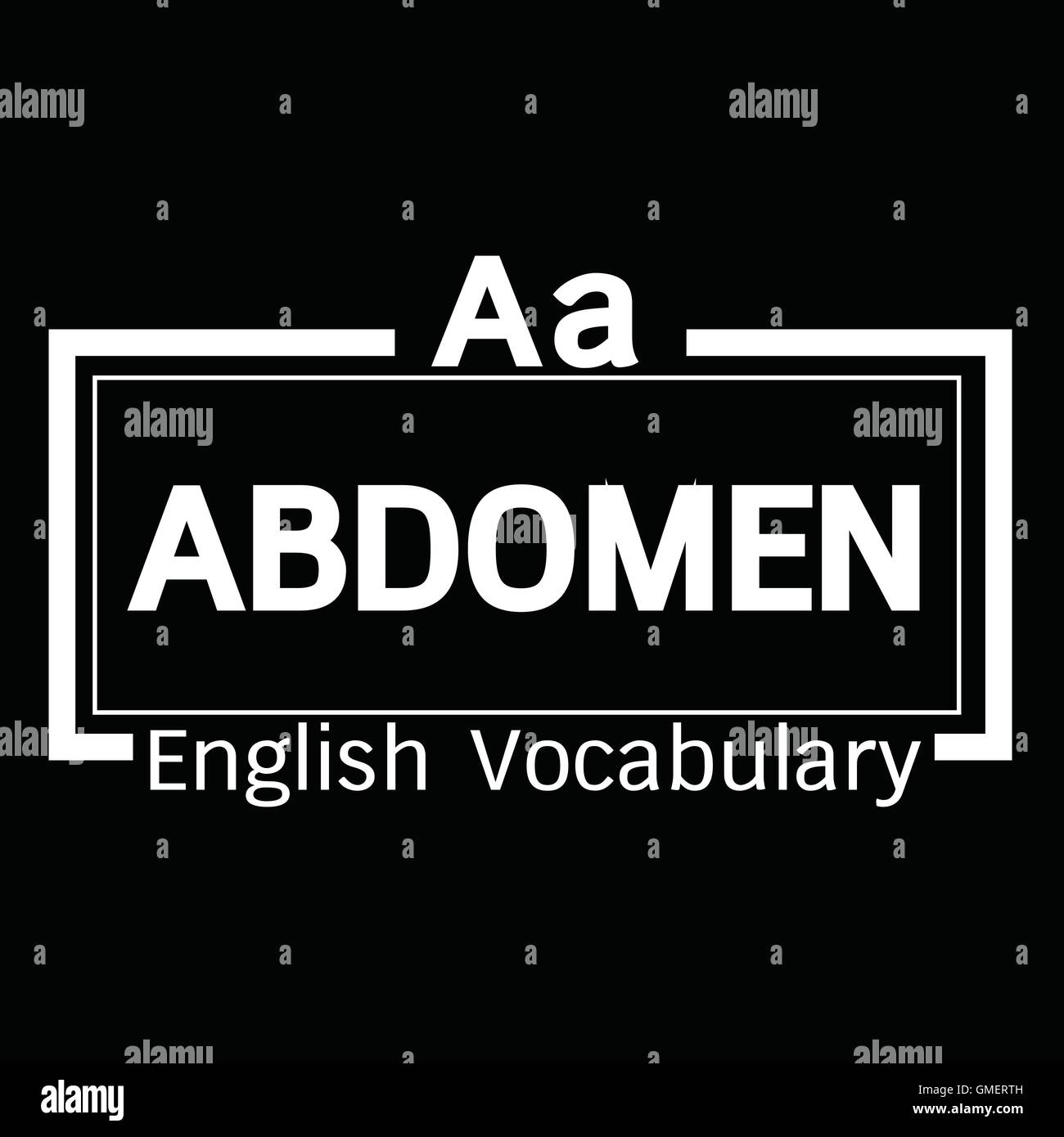 ABDOMEN english word vocabulary illustration design Stock Vector Image ...