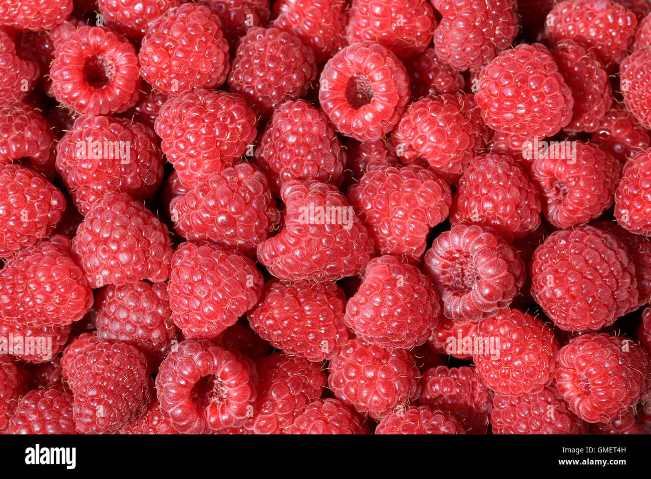 Mature raspberries hi-res stock photography and images - Alamy