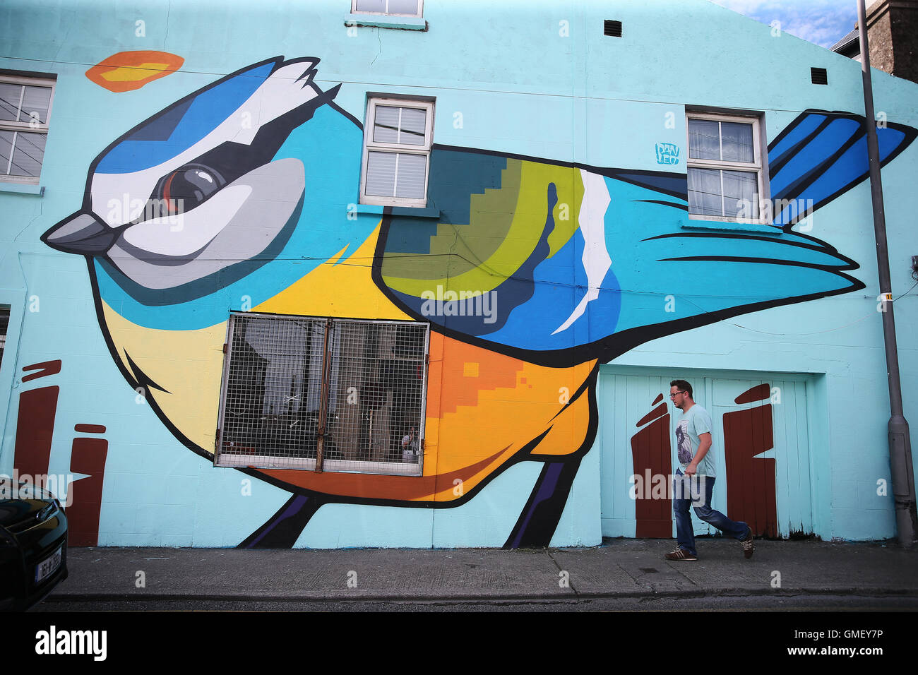 A mural by Irish artist Dan Leo on Barrack street, which forms part of ...