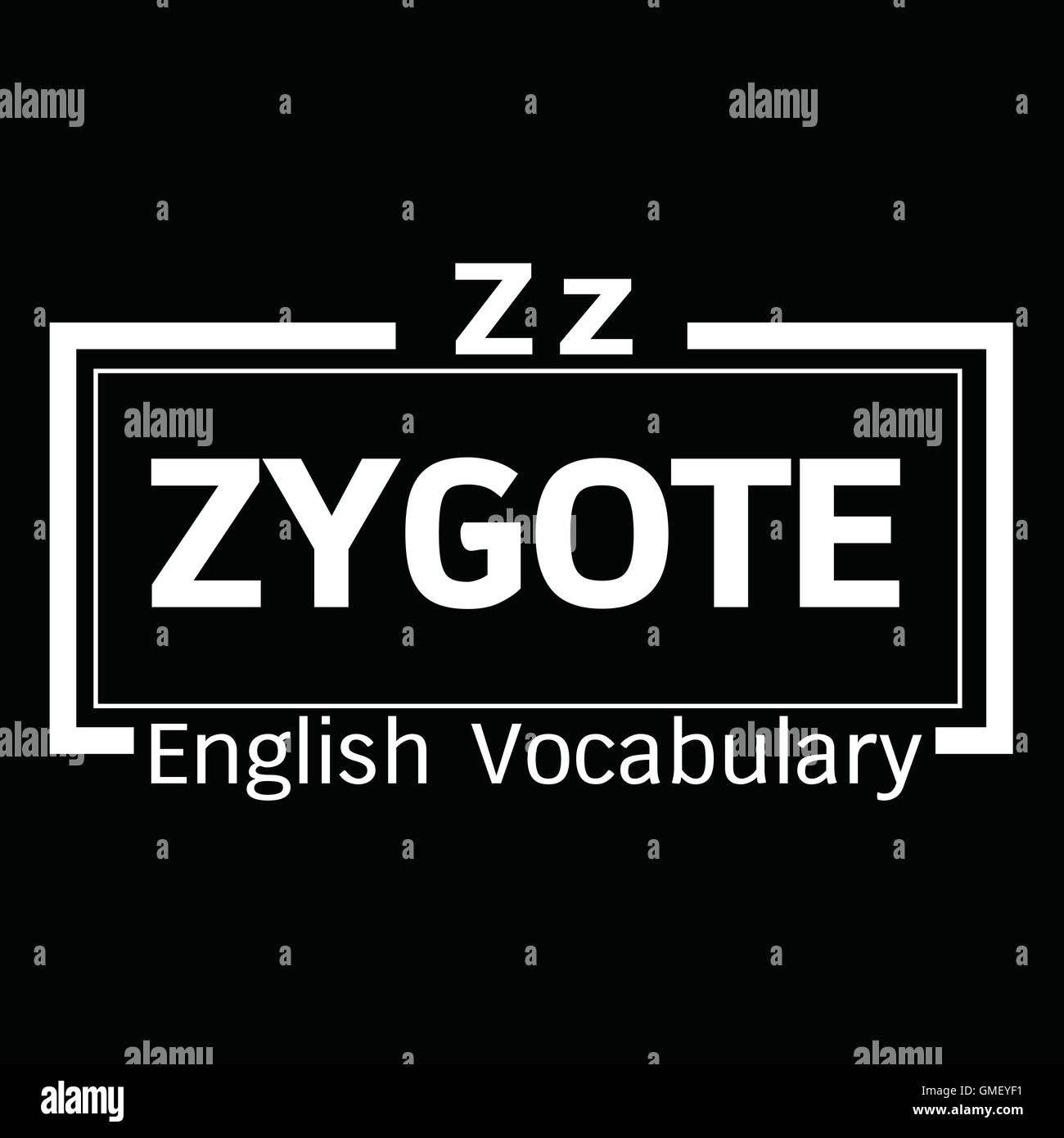 ZYGOTE english word vocabulary illustration design Stock Vector Image ...