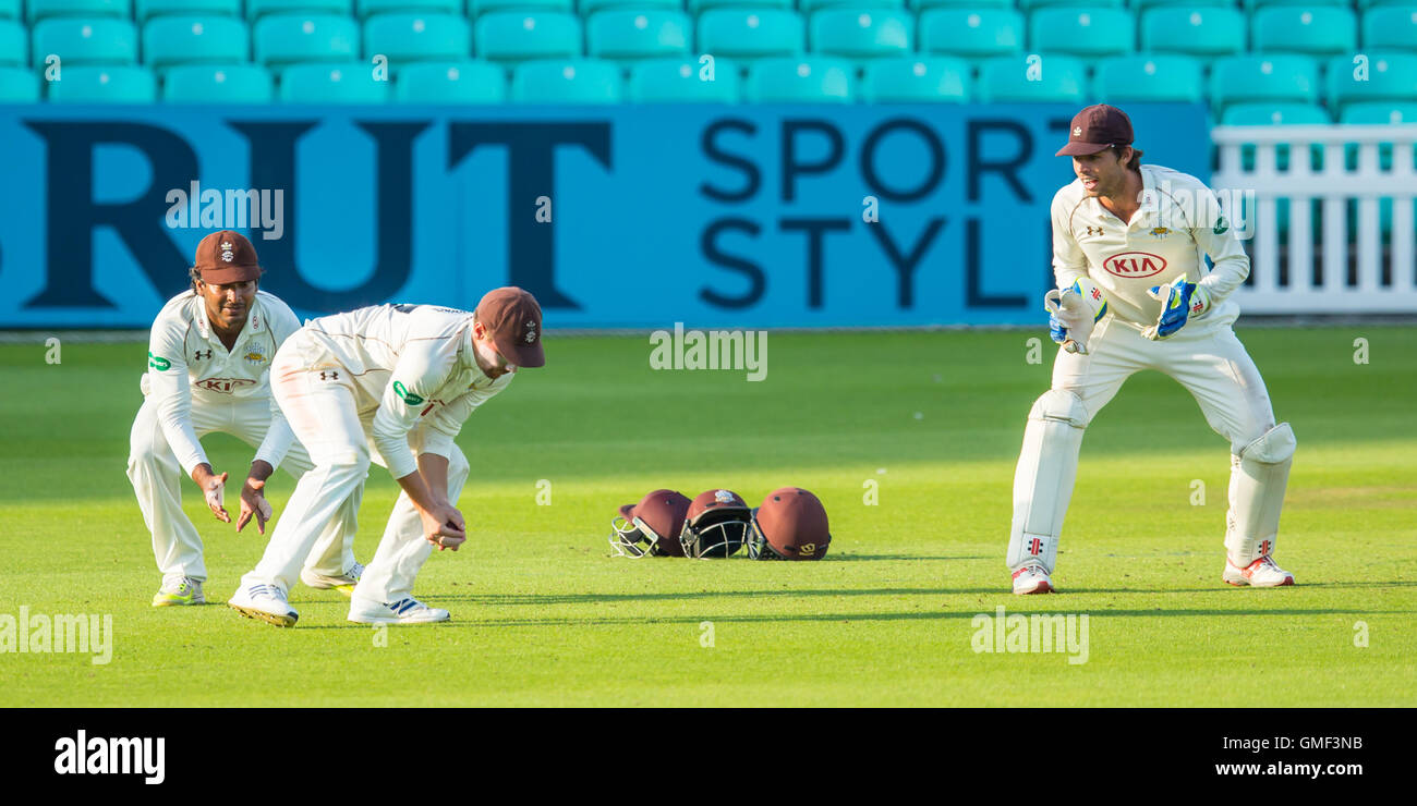 5 wickets hi-res stock photography and images - Alamy