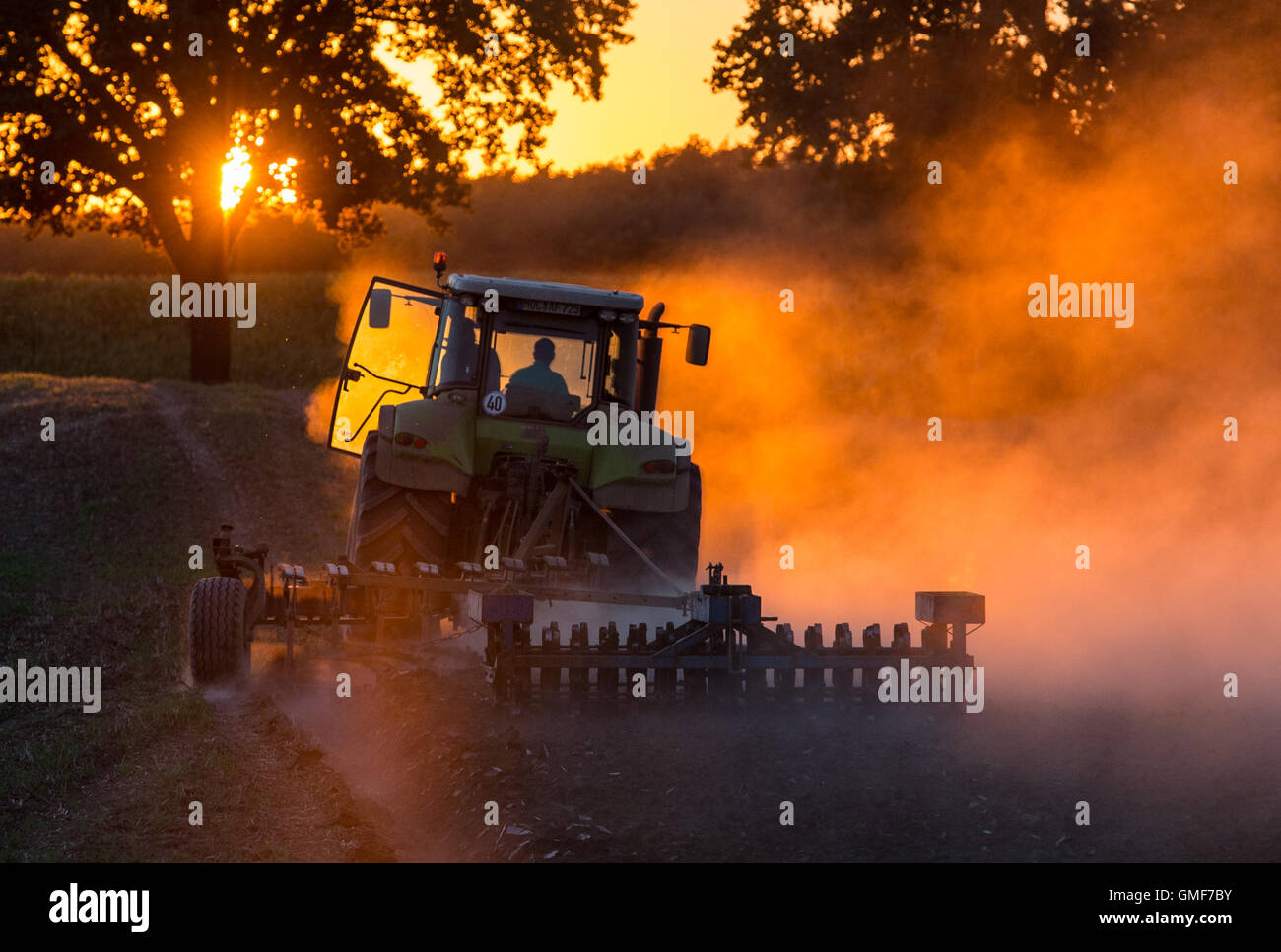 Treplin, Germany. 25th Aug, 2016. A farmer plows the soil of a field ...