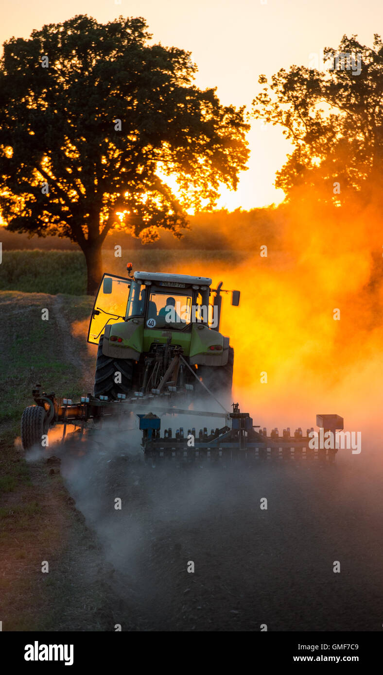 Treplin, Germany. 25th Aug, 2016. A farmer plows the soil of a field ...