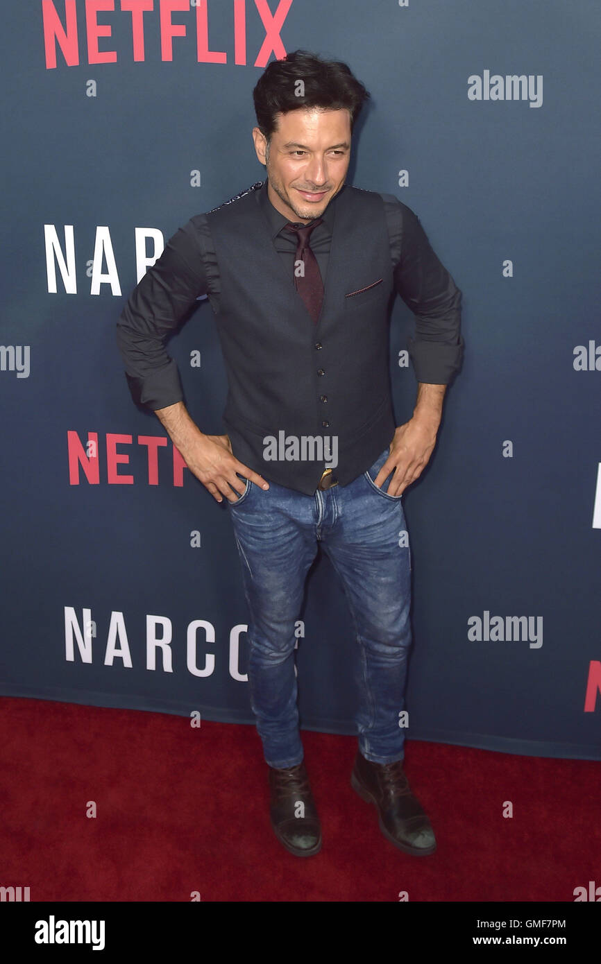 Hollywood, California. 24th Aug, 2016. Raul Mendez attends the premiere ...