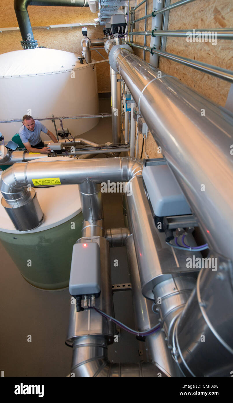 Bad Elster, Germany. 26th Aug, 2016. Employee André Glass works in the ...