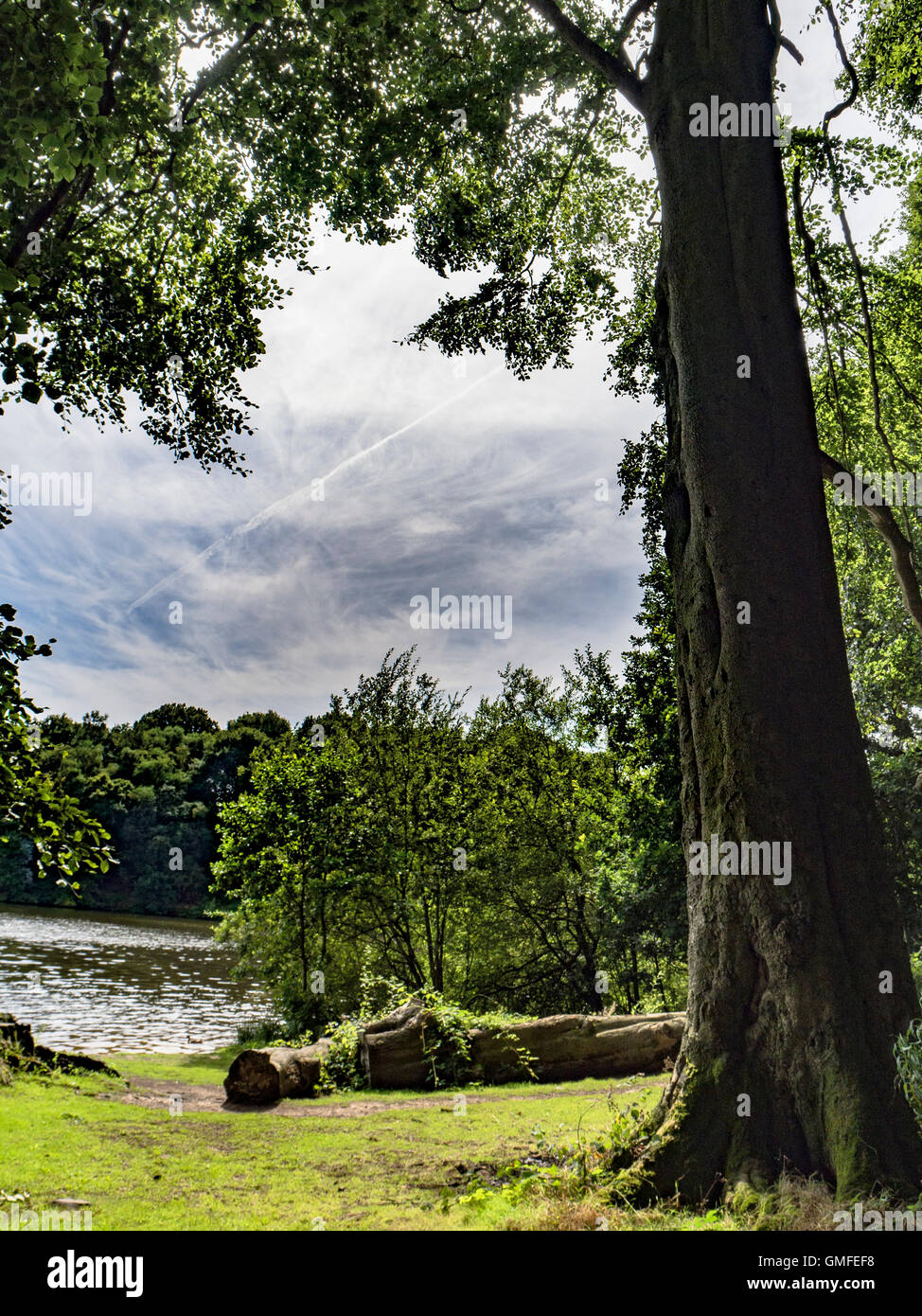 Landscape portrait format hi-res stock photography and images - Alamy