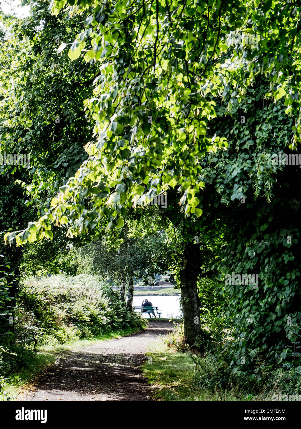 Person sitting on bench hi-res stock photography and images - Alamy