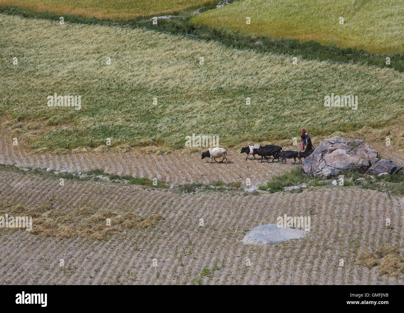 Women of rural afghanistan hi-res stock photography and images - Alamy