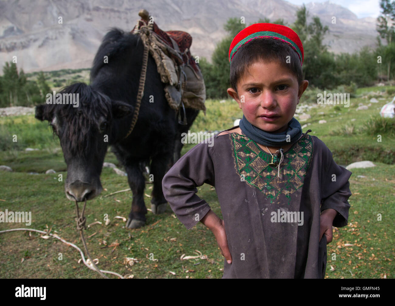 Wakhi boy in front of a yak, Badakhshan province, Wuzed, Afghanistan ...