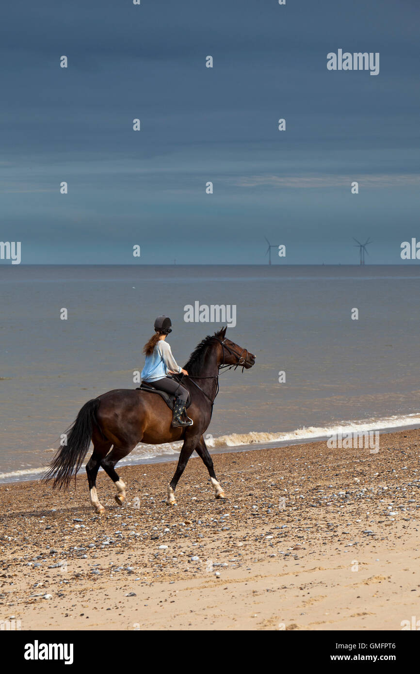 Horse riding along shoreline at the English seaside village of ...