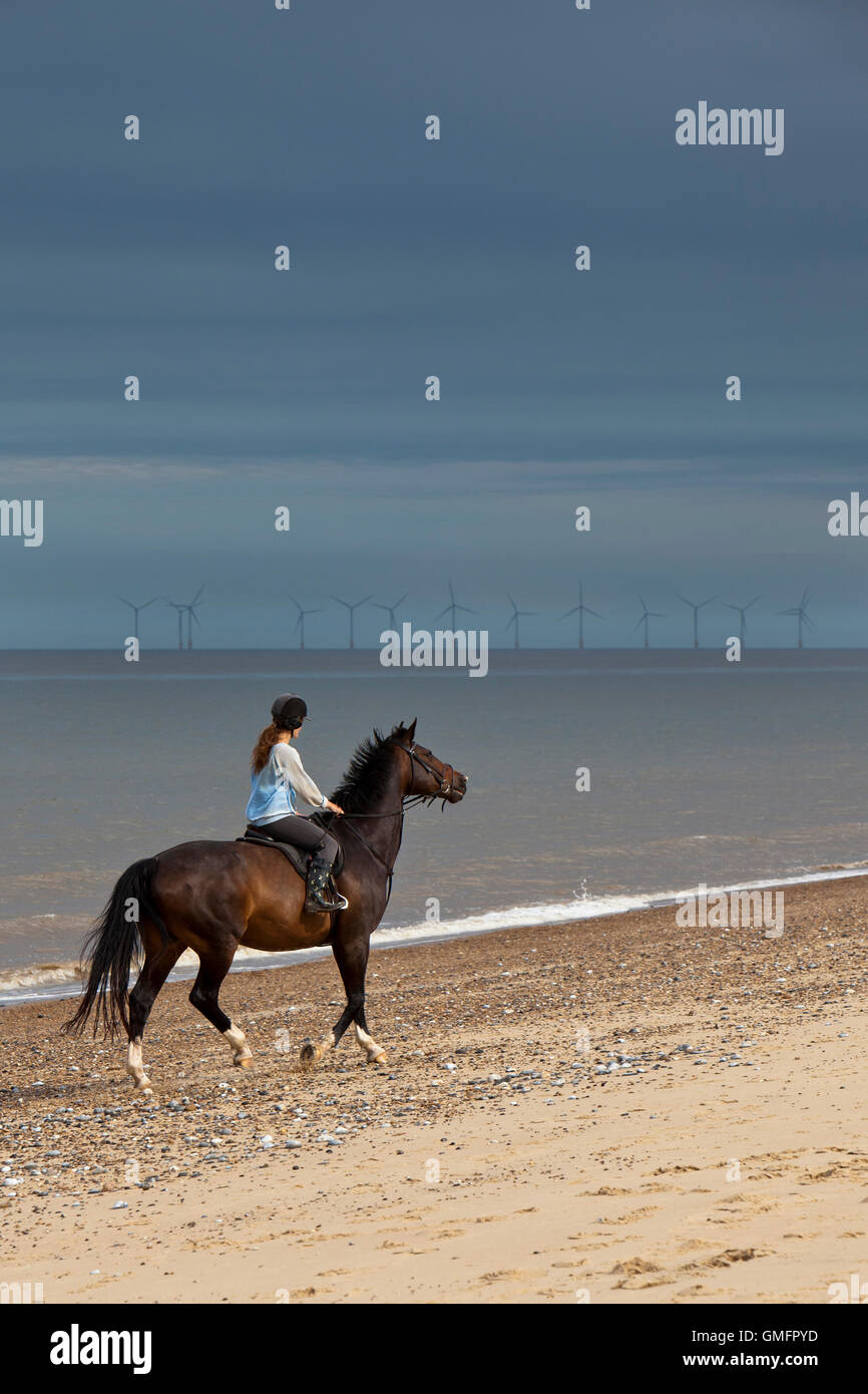 Horse riding along shoreline at the English seaside village of ...