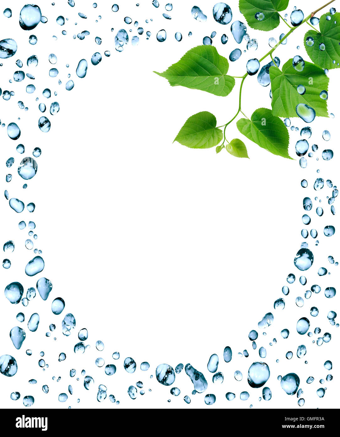 Abstract blue water drops frame and green leaves on white background ...