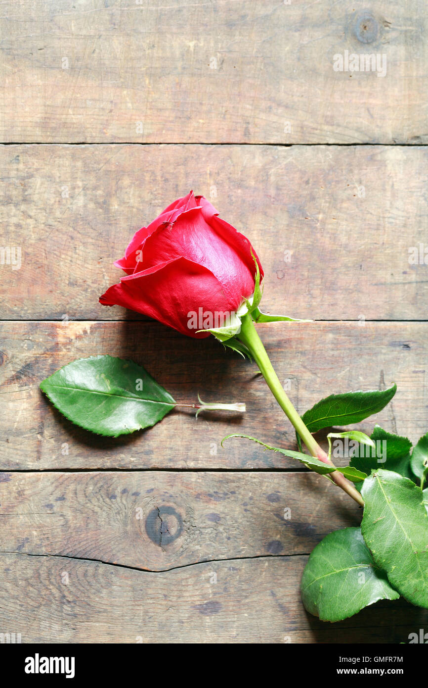Red rose with leaf hi-res stock photography and images - Alamy