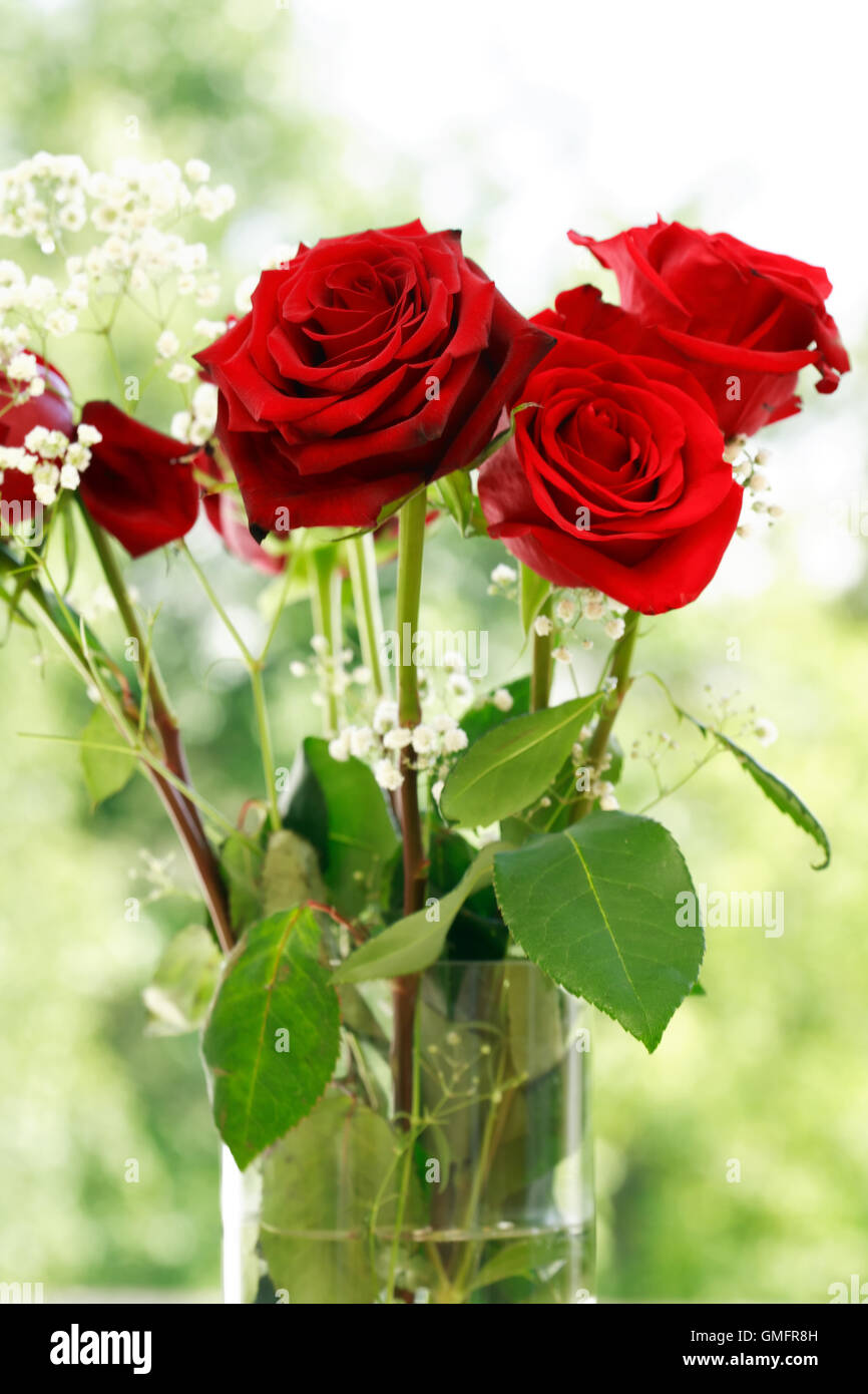 Nice red roses bouquet in glass vase Stock Photo - Alamy