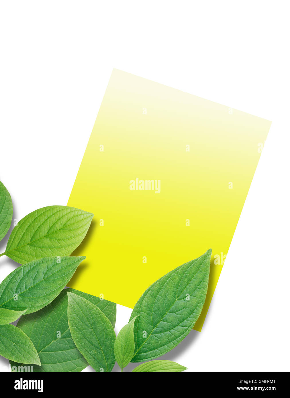 Blank yellow paper card between green leaves on white background Stock ...