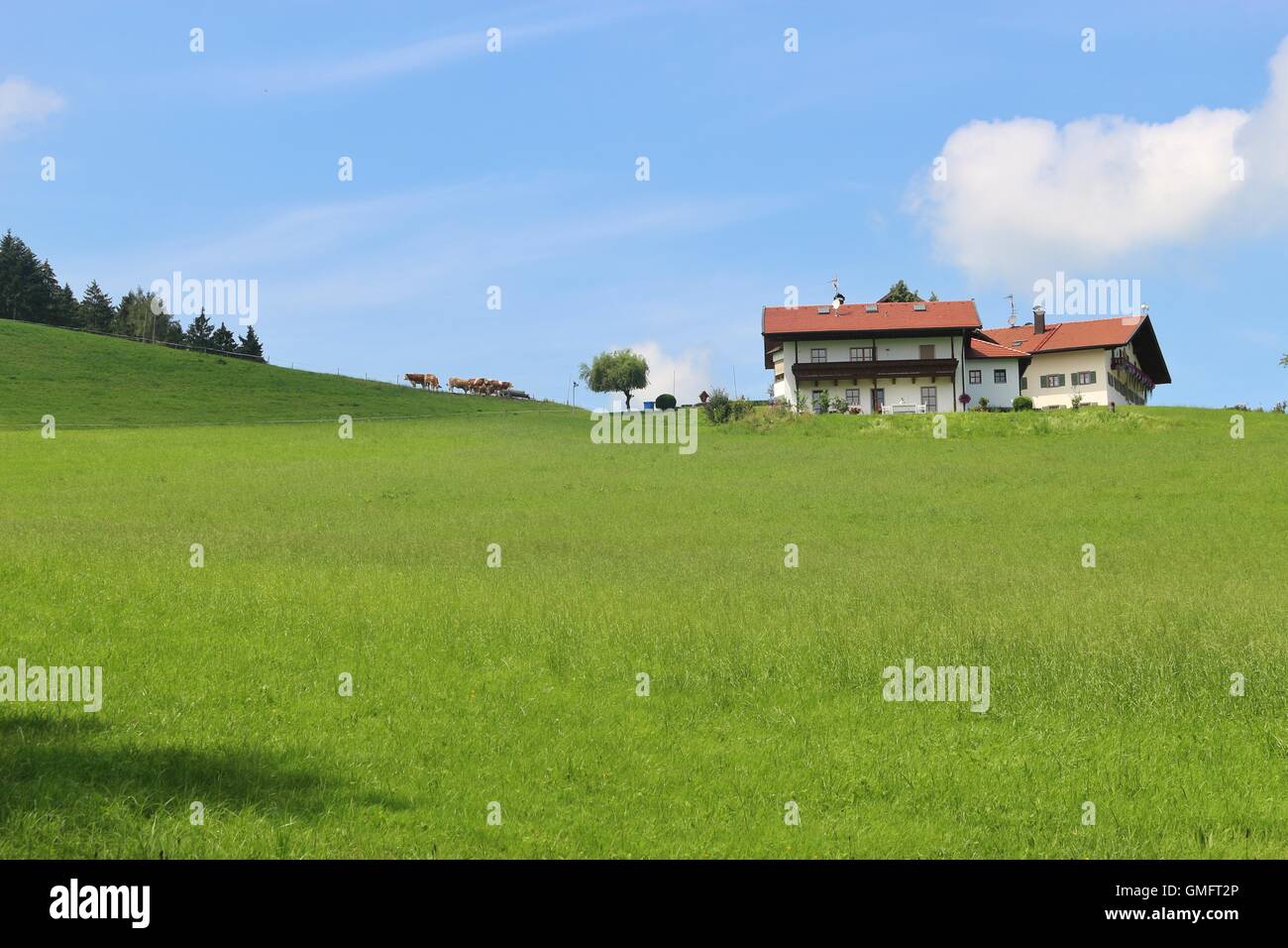 Idyllic countryside in Bavaria, Germany. Mountain pasture, house and ...