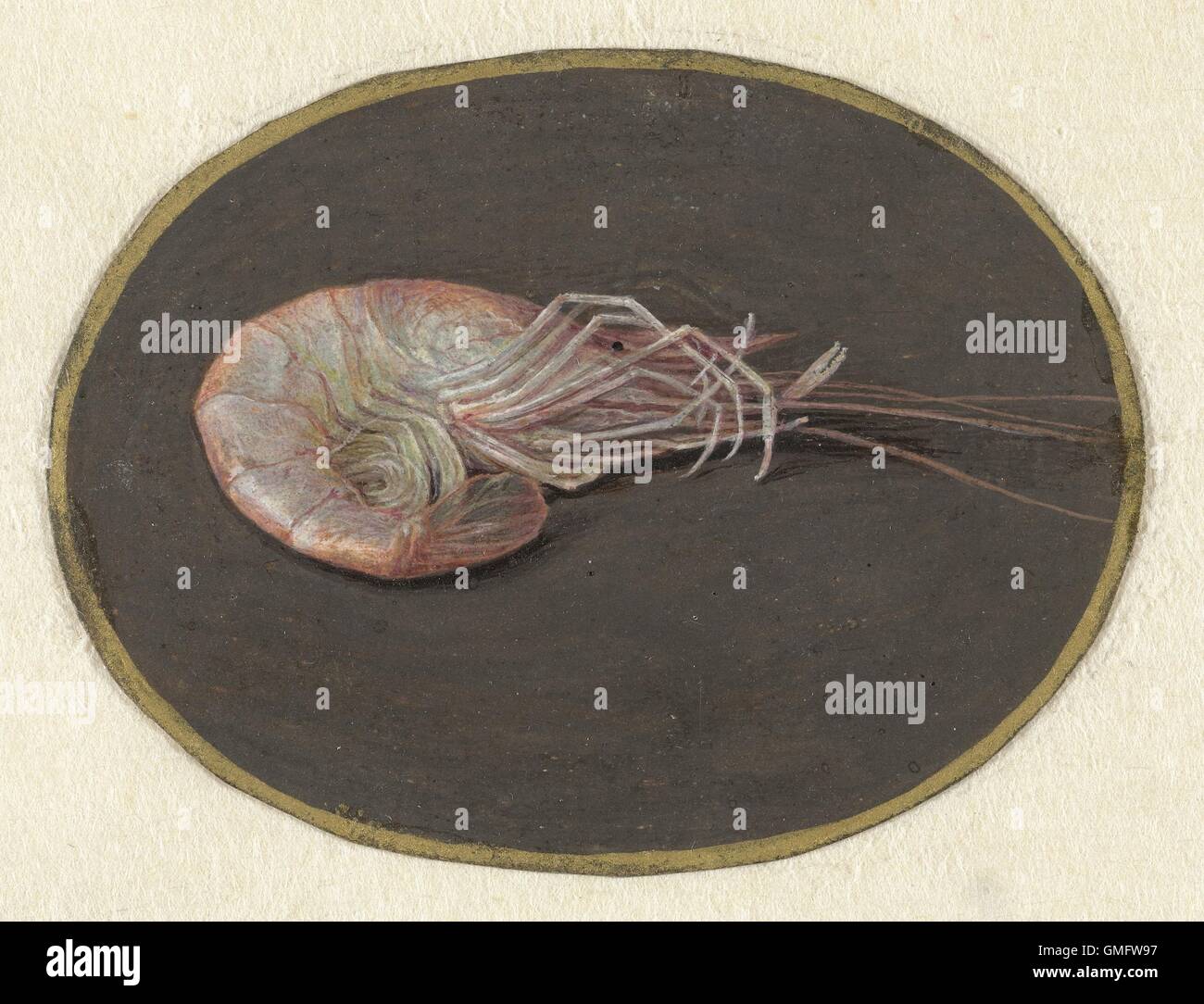 Shrimp, by Jan Augustin van der Goes, 1690-1700, Dutch painting ...