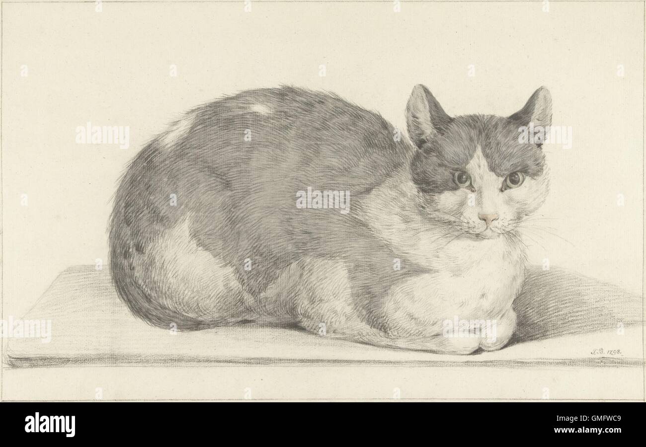 Sitting Cat, Facing Right, by Jean Bernard, 1798, Dutch chalk and ...