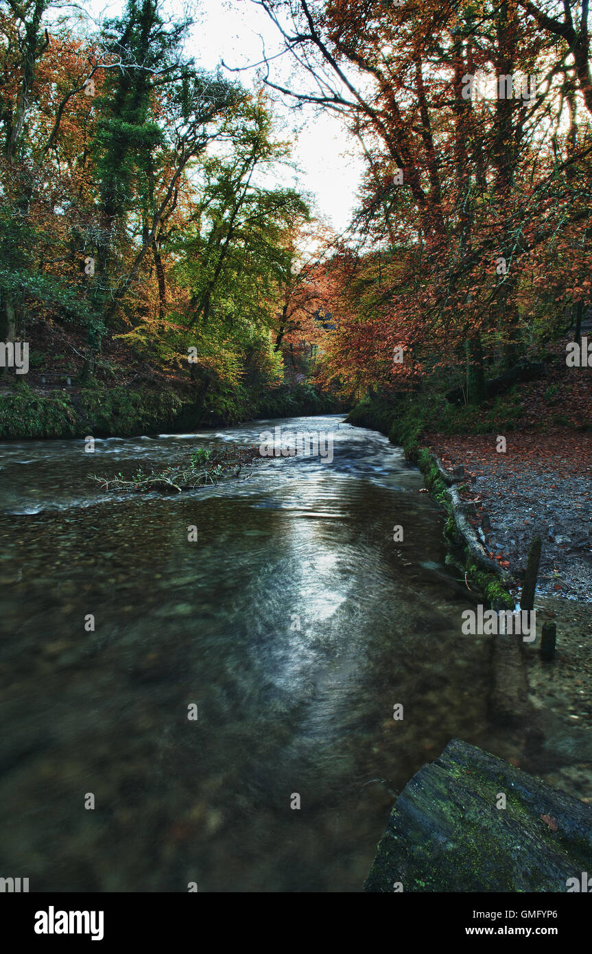 Plymbridge hi-res stock photography and images - Alamy