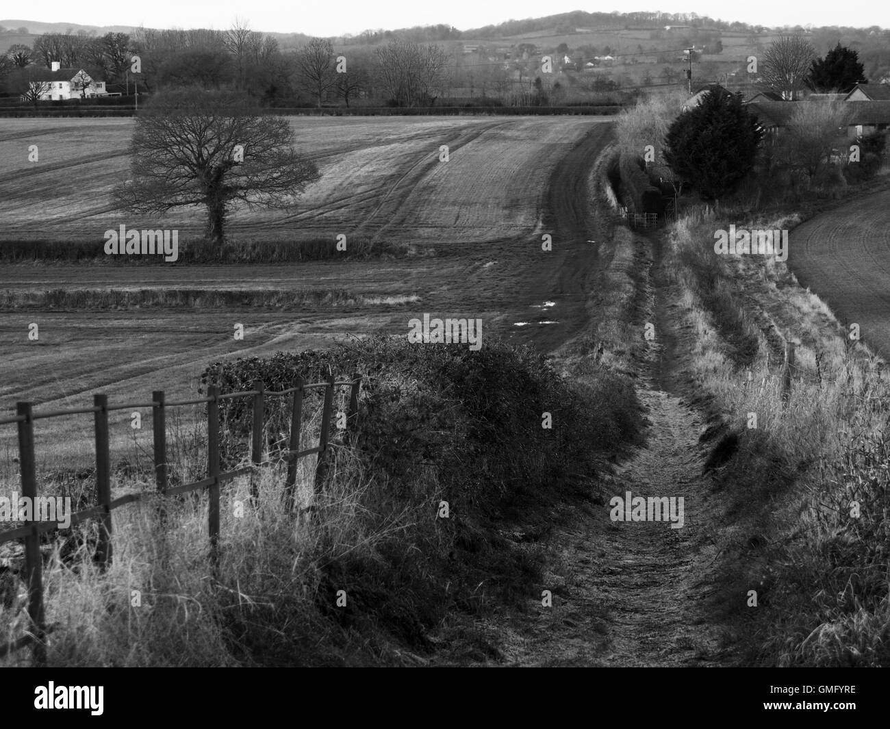 Somerset fields hi-res stock photography and images - Alamy