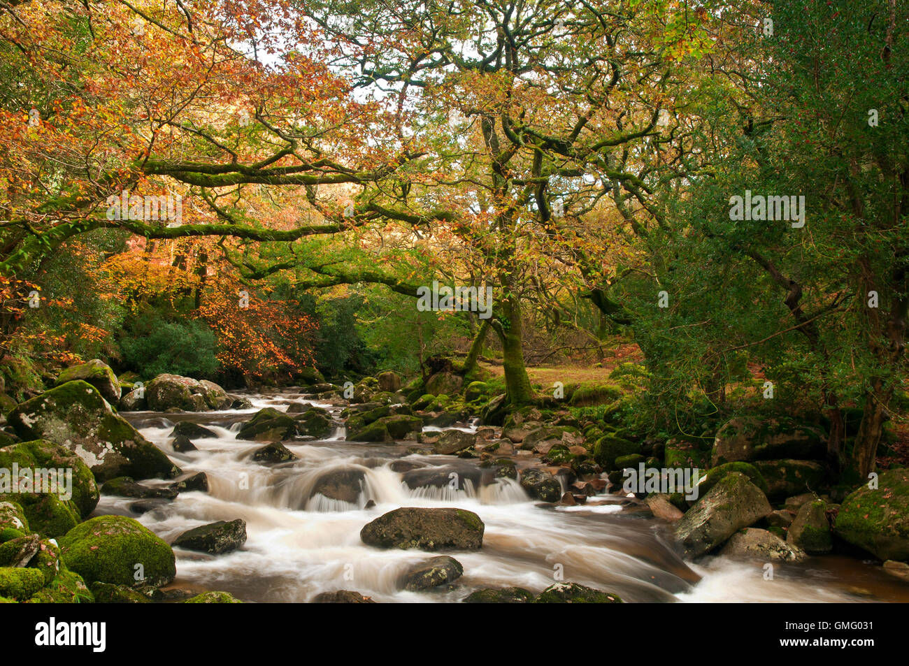 Shaugh bridge hi-res stock photography and images - Alamy