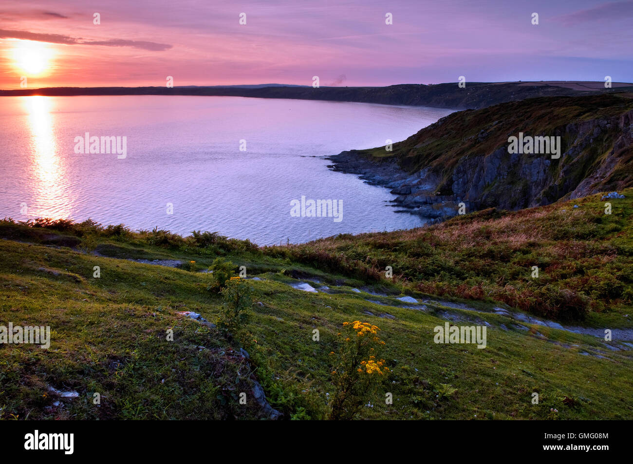 Rame head hi-res stock photography and images - Alamy