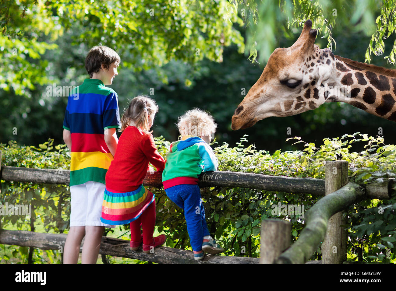Group of children, school student, little toddler boy and preschool ...