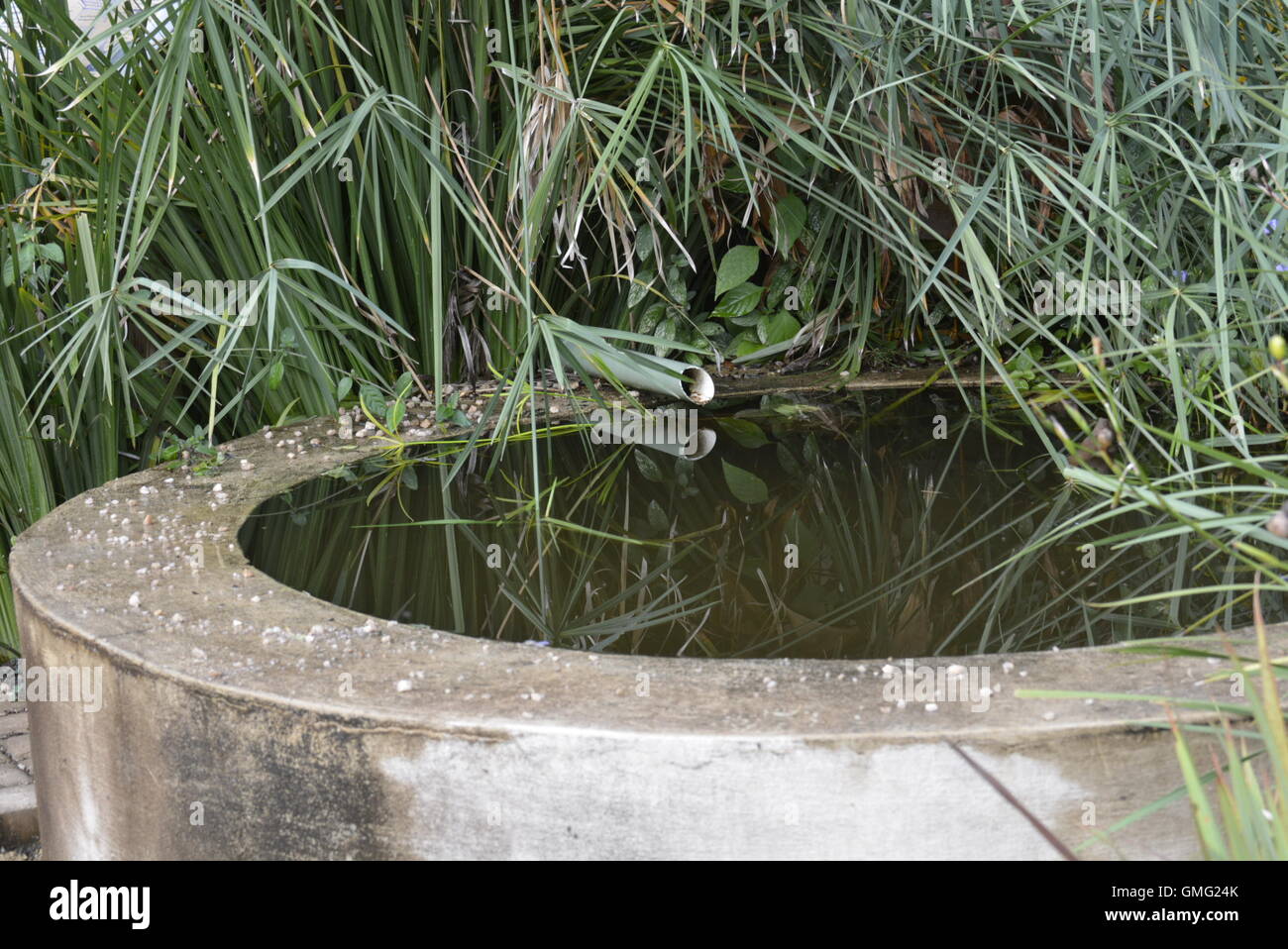 Water feature with reflection Stock Photo - Alamy