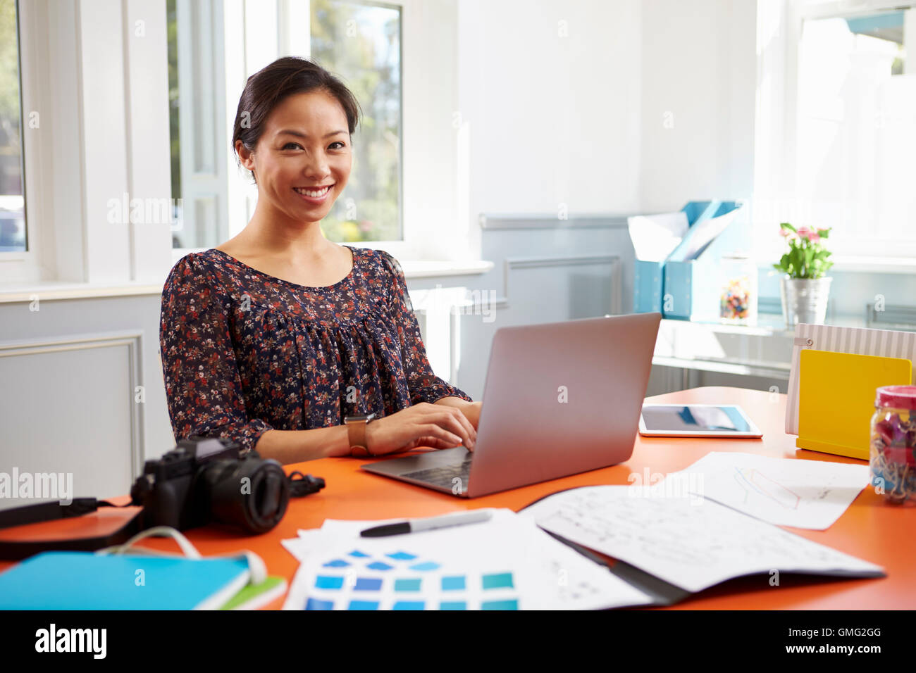 Photographer Working At Laptop In Home Office Stock Photo - Alamy