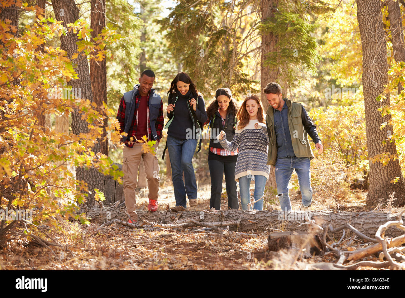Five friends enjoying a hike in a forest, California, USA Stock Photo ...