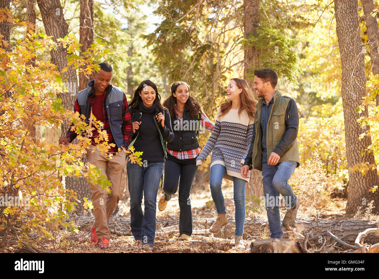Five friends enjoying a hike in a forest, California, USA Stock Photo ...