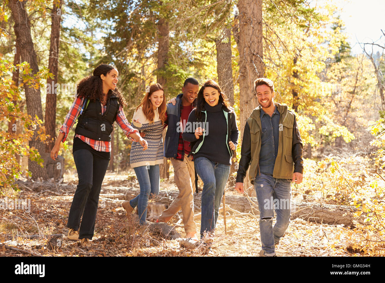 Five happy friends enjoy a hike in a forest, California, USA Stock ...