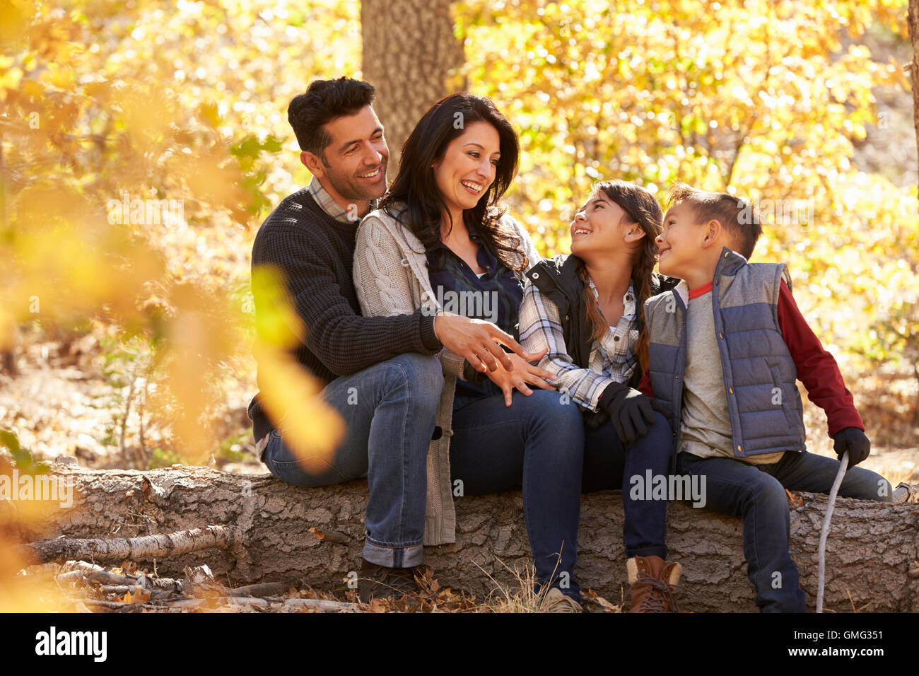 Family sitting on fallen tree in a forest look at each other Stock ...