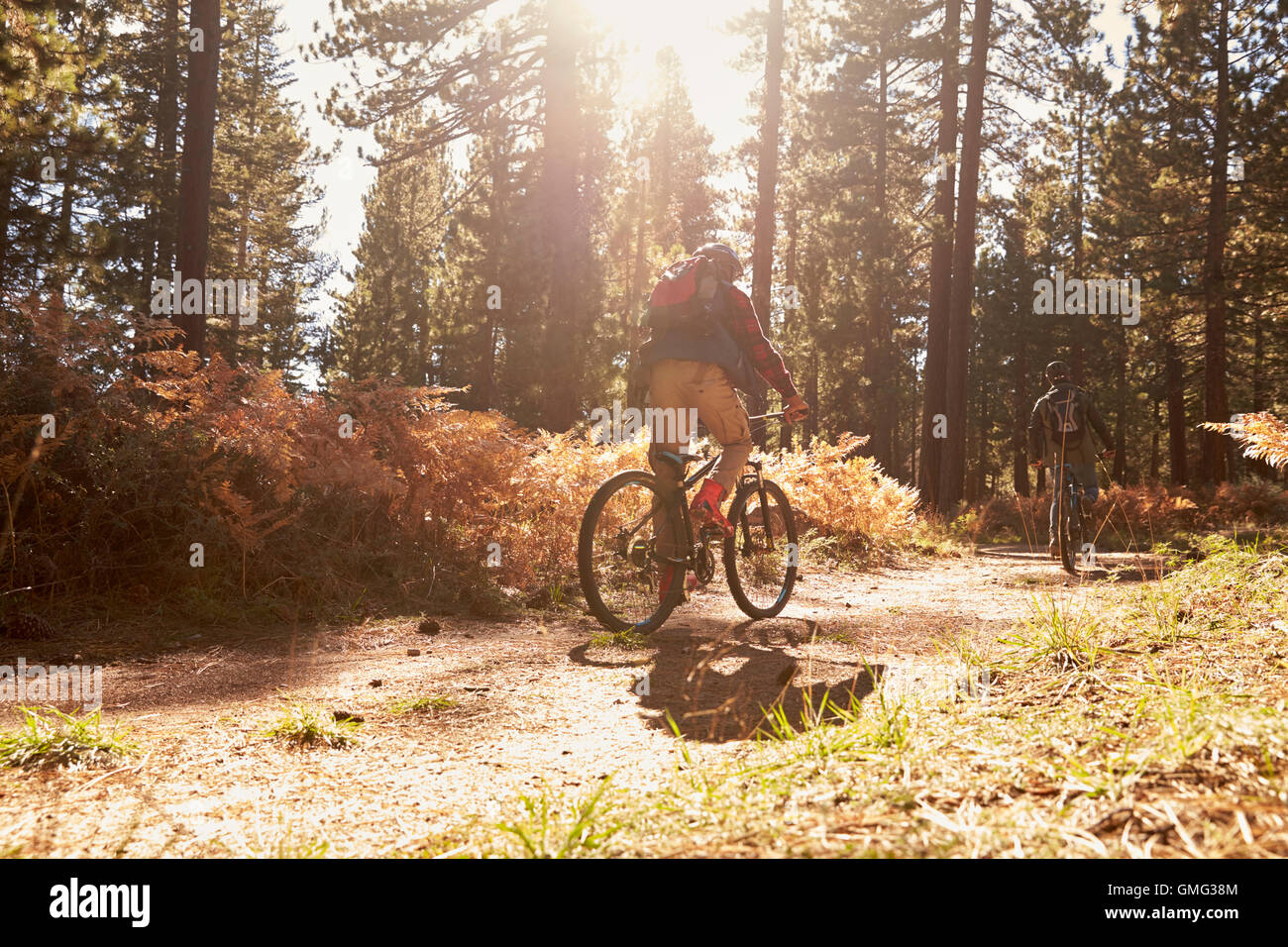 Two cyclists biking on a forest trail, backlit, back view Stock Photo ...
