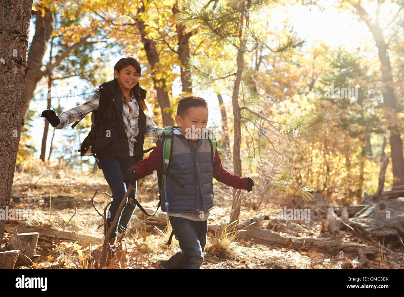 Two Hispanic children have fun running in a forest Stock Photo - Alamy