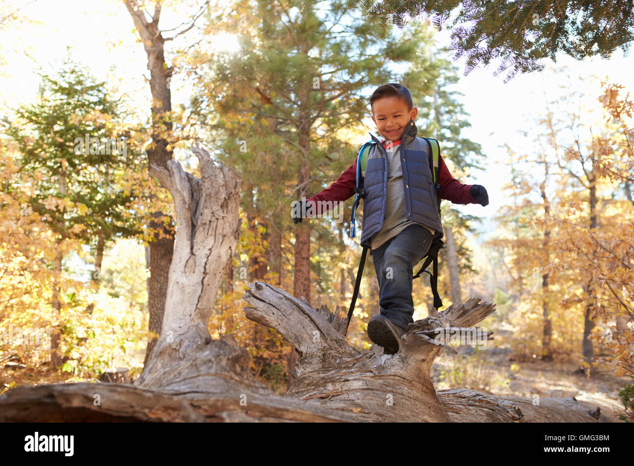 Boy in a forest looking down as he walks along a fallen tree Stock ...