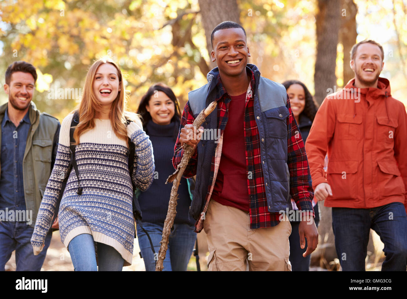 Group of six friends hiking together through a forest Stock Photo - Alamy