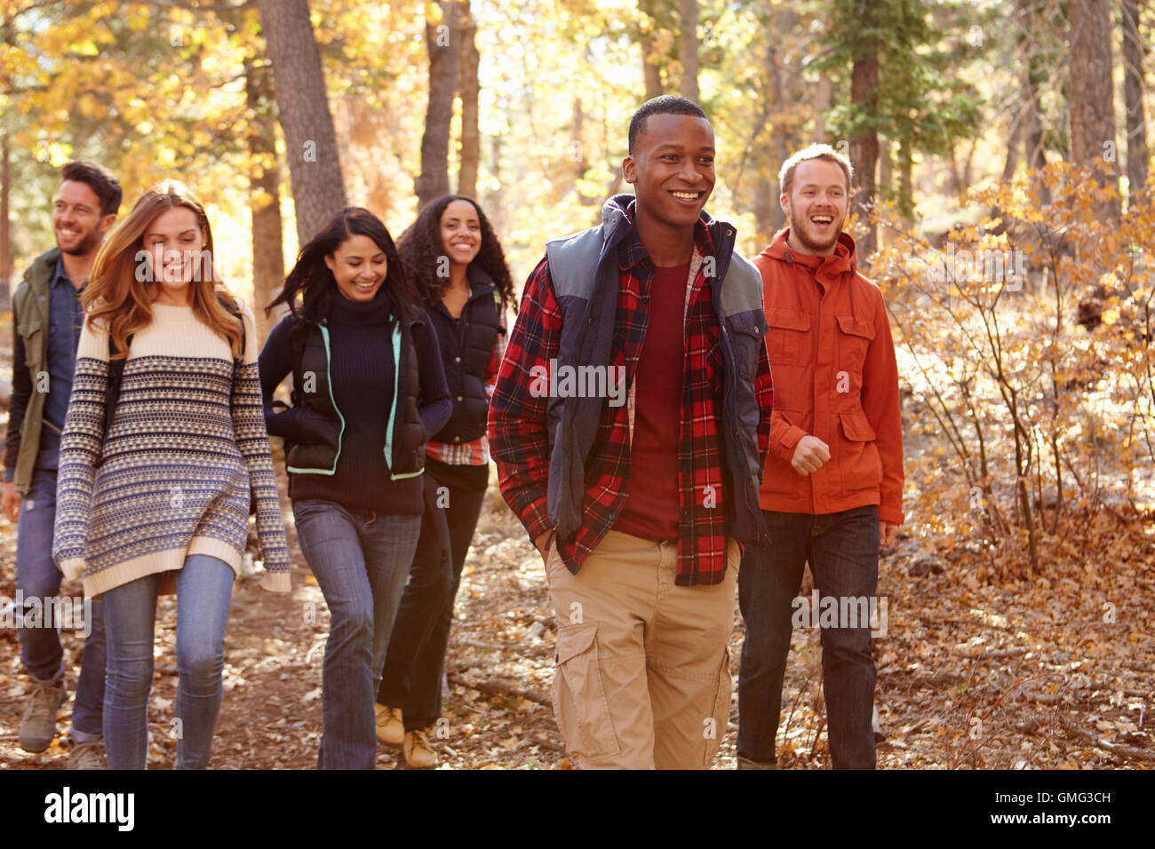Group of six friends hiking together through a forest Stock Photo - Alamy