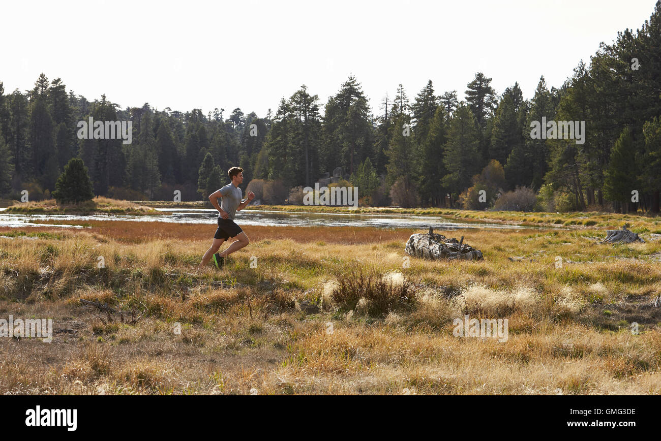 Distant view of man running in nature near a lake Stock Photo - Alamy