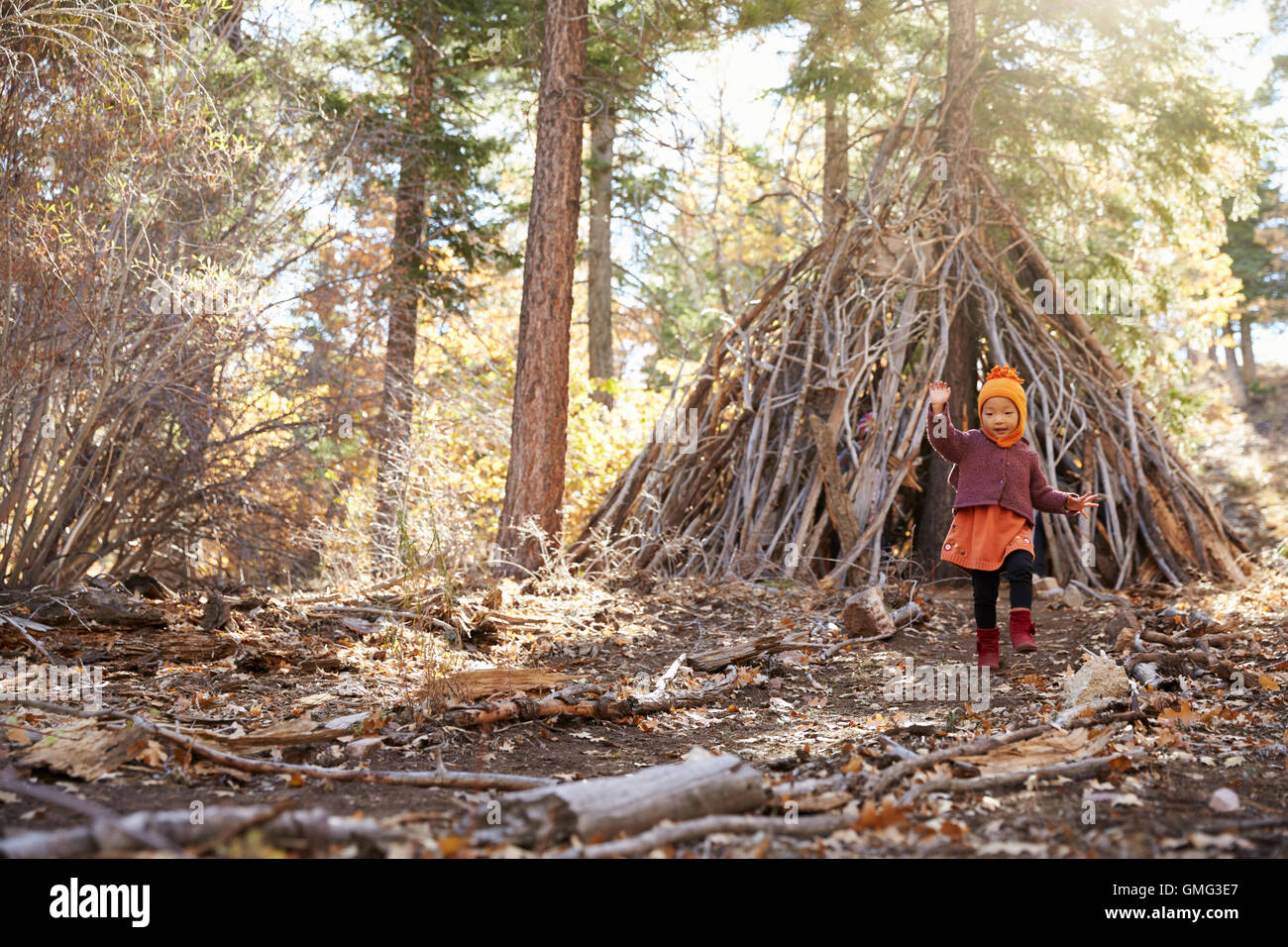 Hut made of branches hi-res stock photography and images - Alamy