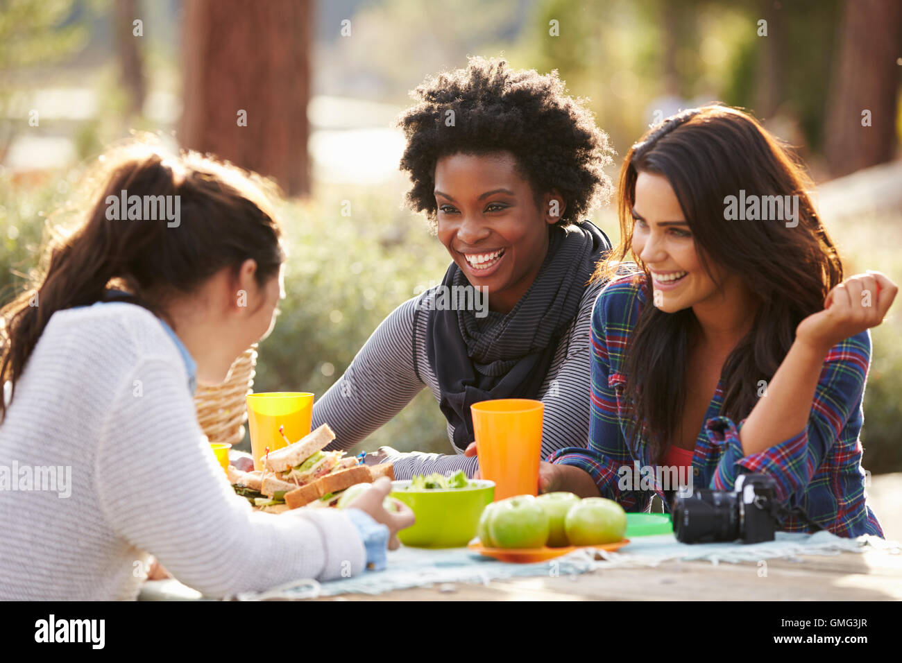 Three female friends talking at a picnic table Stock Photo - Alamy