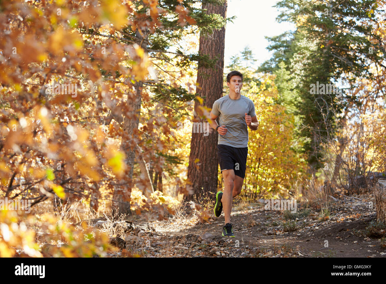 Caucasian man running on a forest trail Stock Photo - Alamy