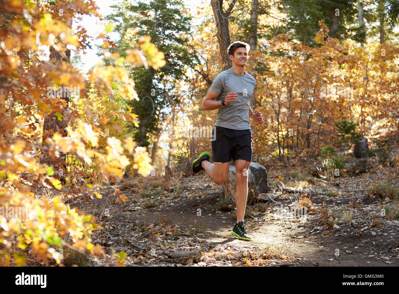 Caucasian man running on a forest trail, closer in Stock Photo - Alamy