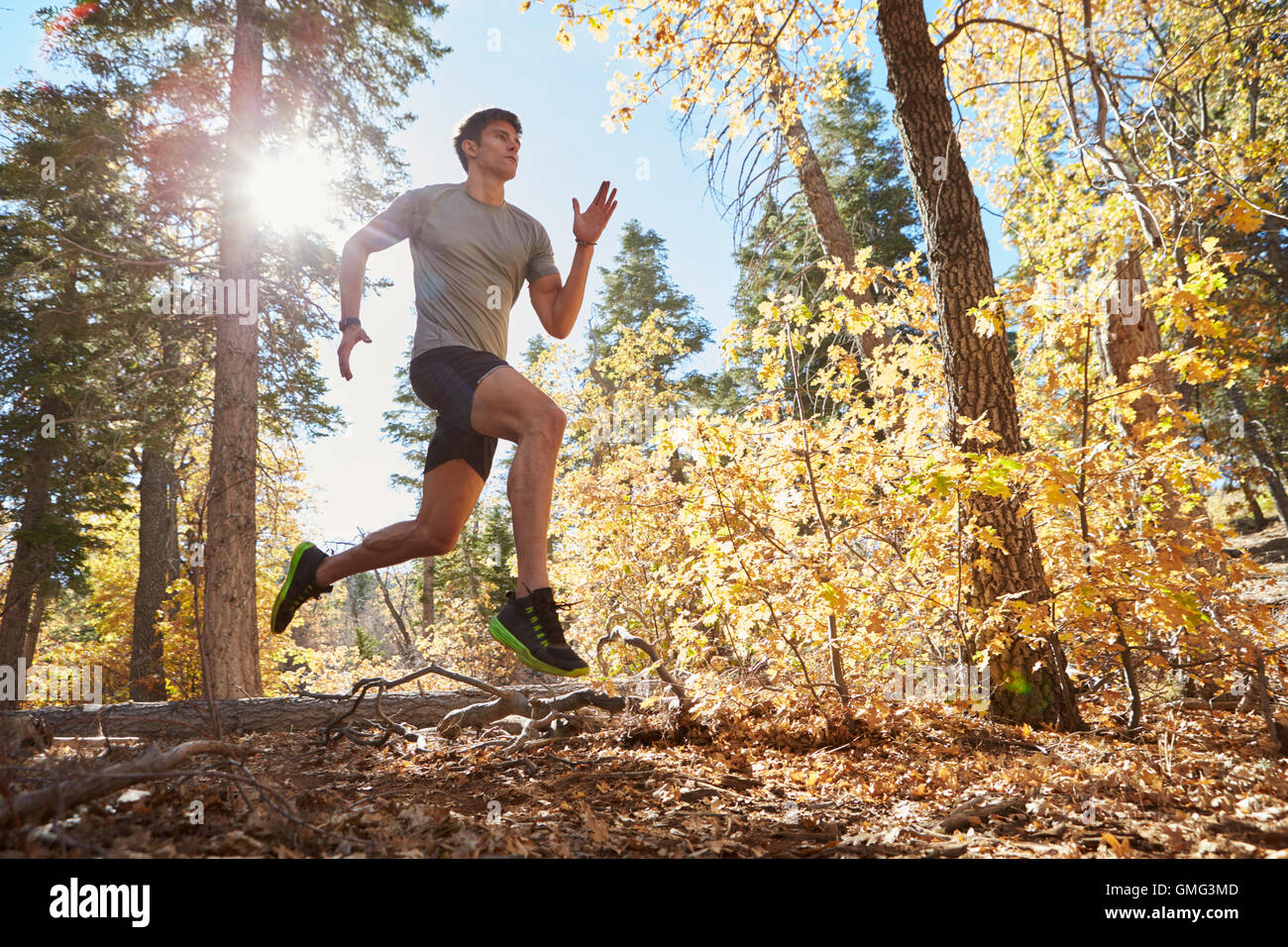 Man running in a forest jumps over branches, low angle view Stock Photo ...