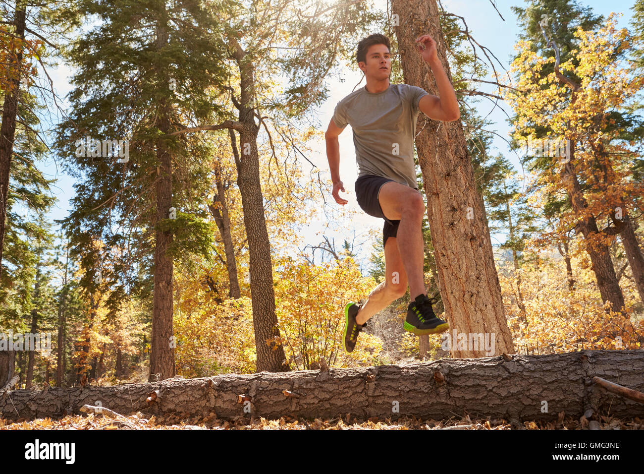 Young adult man running in a forest hi-res stock photography and images ...