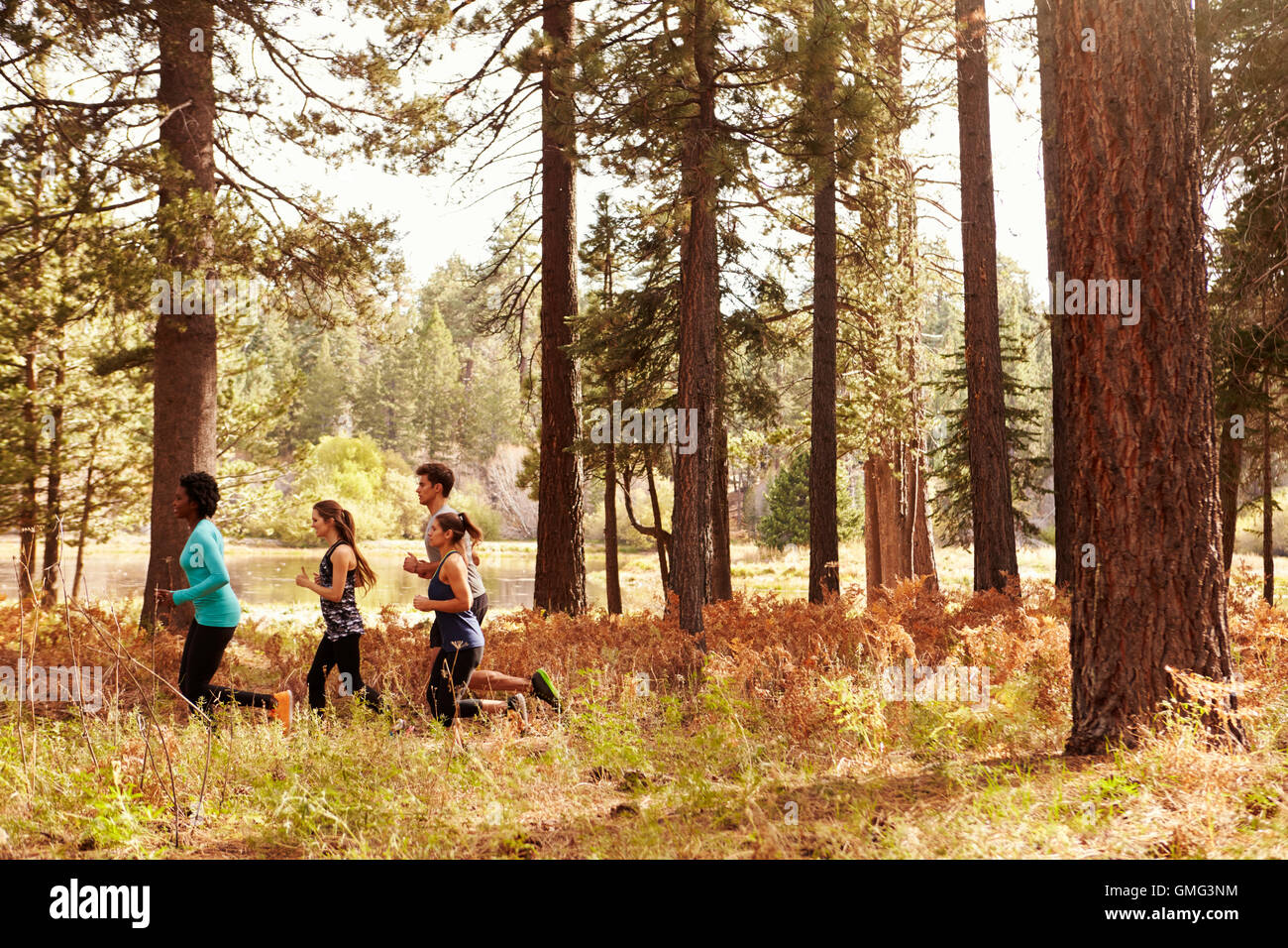 Group of four young adult friends running in a forest Stock Photo - Alamy
