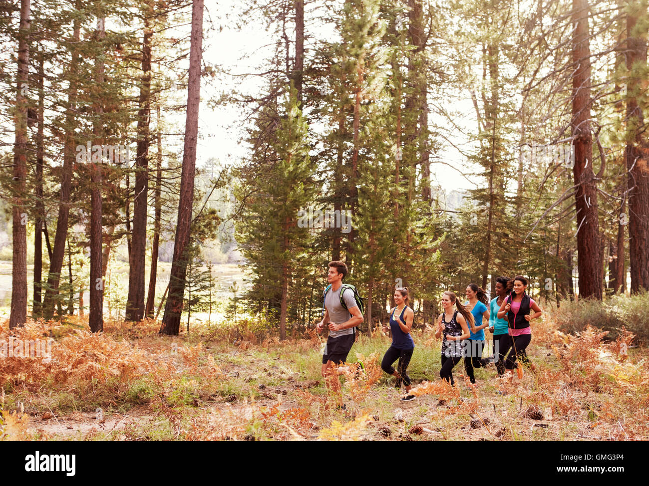 Six young adults running in a row through a forest Stock Photo - Alamy