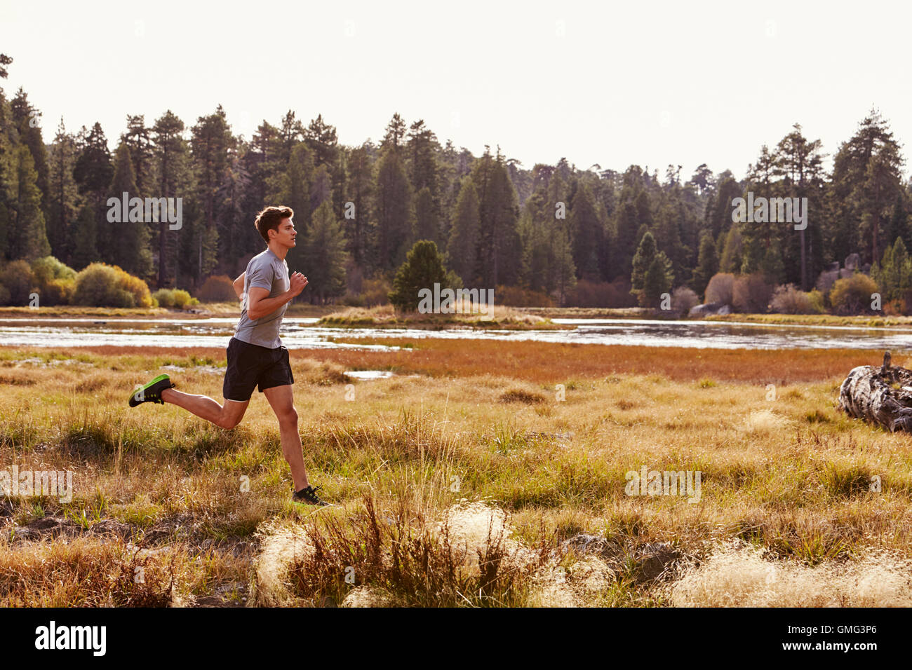 Man running in nature near a lake, side view Stock Photo - Alamy