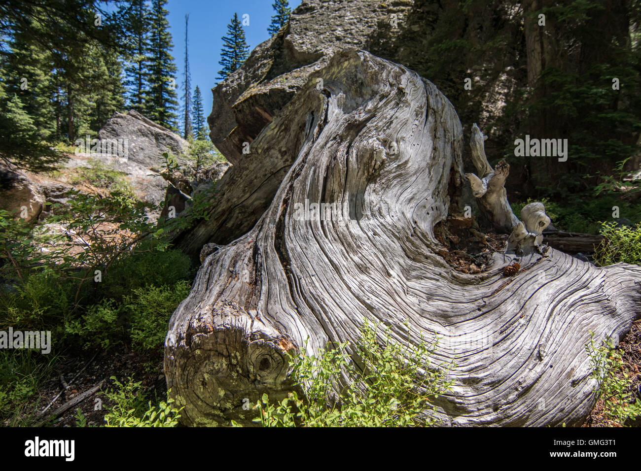 Sawtooth pattern hi-res stock photography and images - Alamy