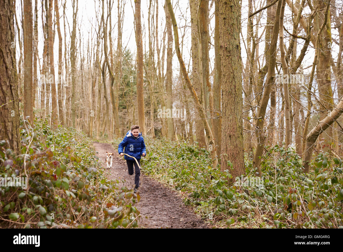 Boy holding stick running through a wood followed by pet dog Stock ...